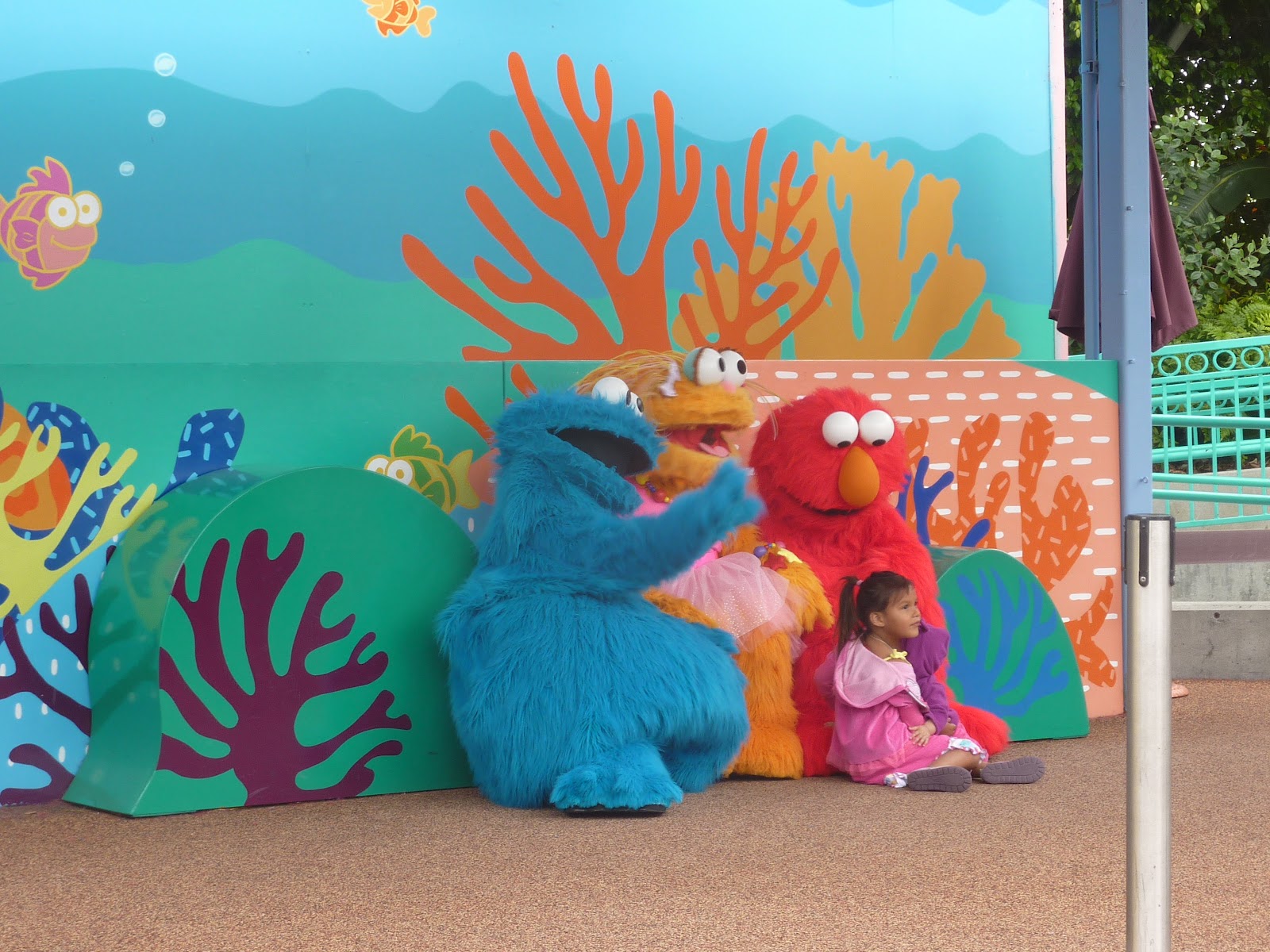 Vacation: Unlimited - Travel Journal: Photo Journal from Sea World San ...