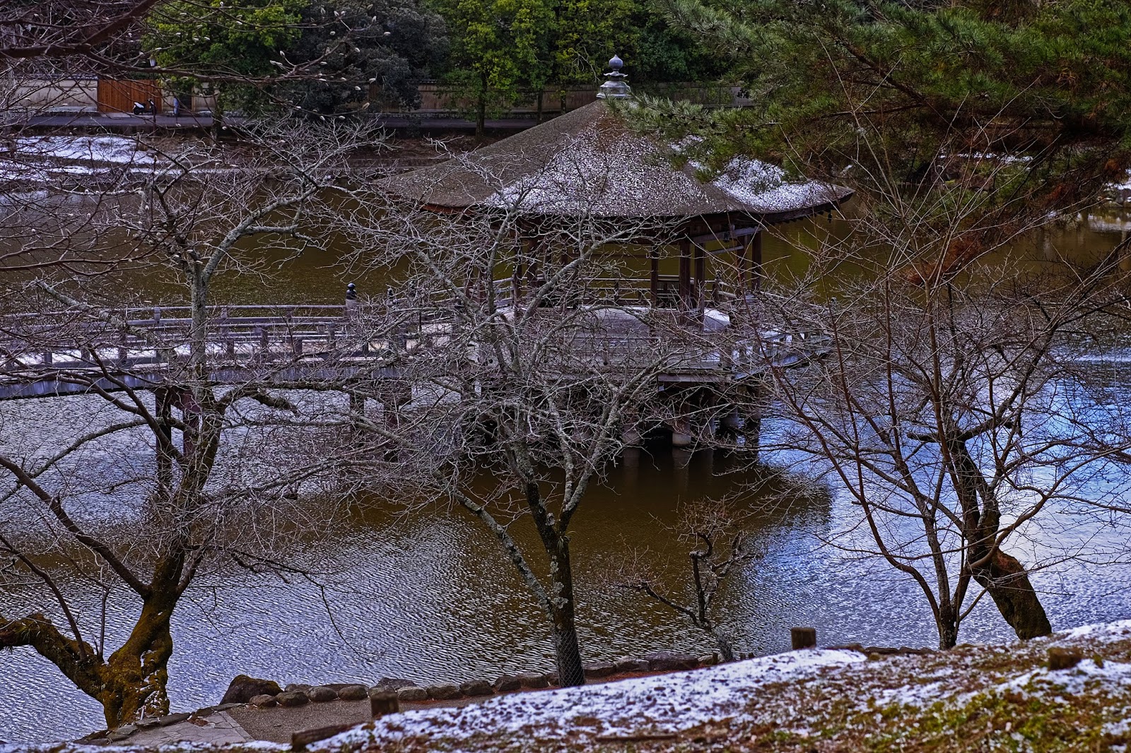 Winter in Nara Park