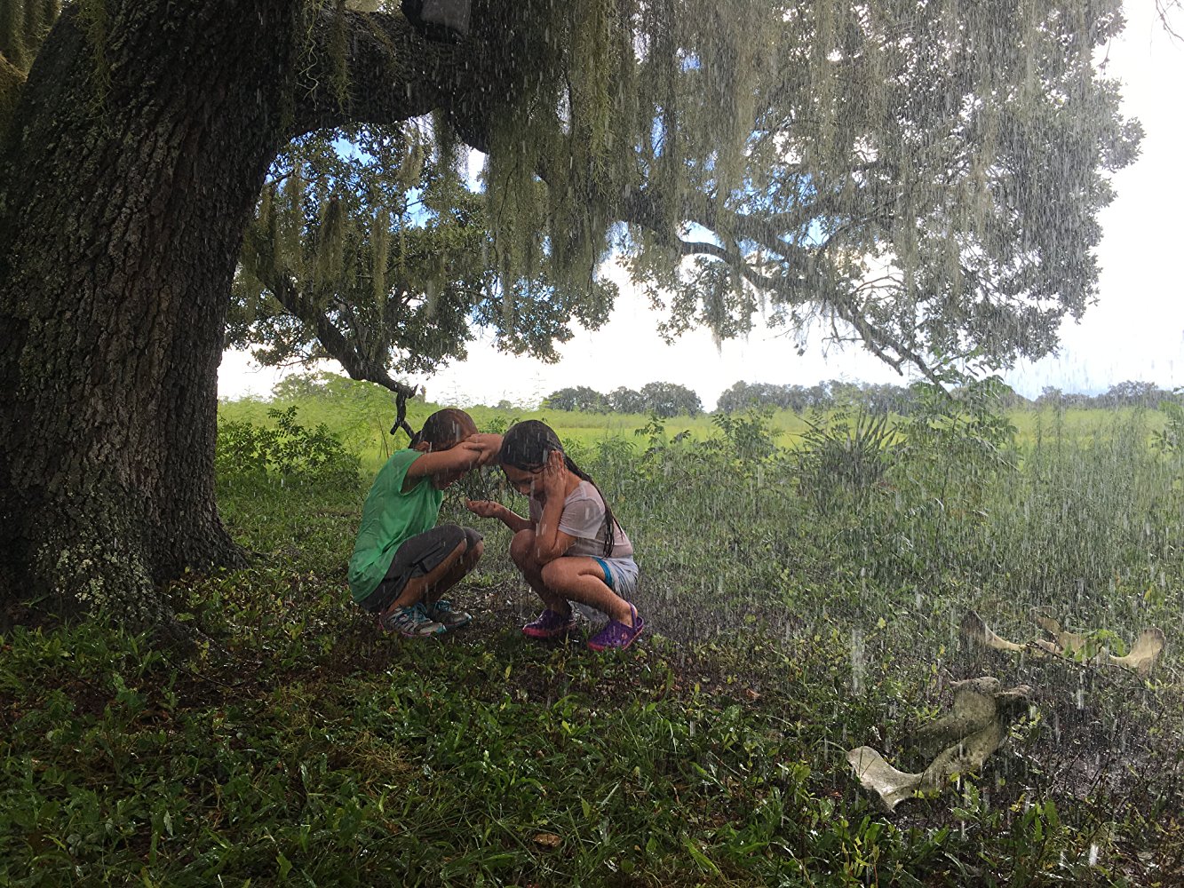 El Proyecto Florida (The Florida Project) - TVNotiBlog