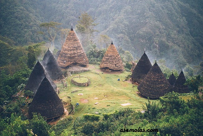 Mengenal Wae Rebo, Desa Wisata Flores | Labuan Bajo Molas
