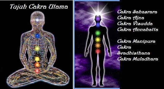Kebenaran Islam: 7 Cakra Utama Pada Manusia Untuk Membangkitkan Potensi ...
