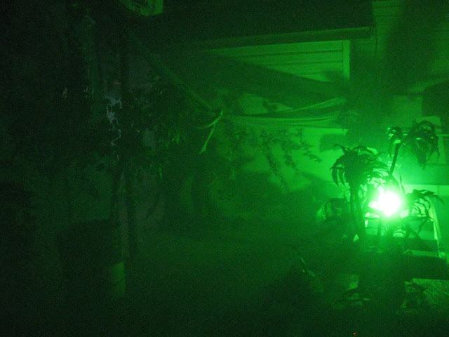 Haunt Your House: How to Make a Haunted Swamp