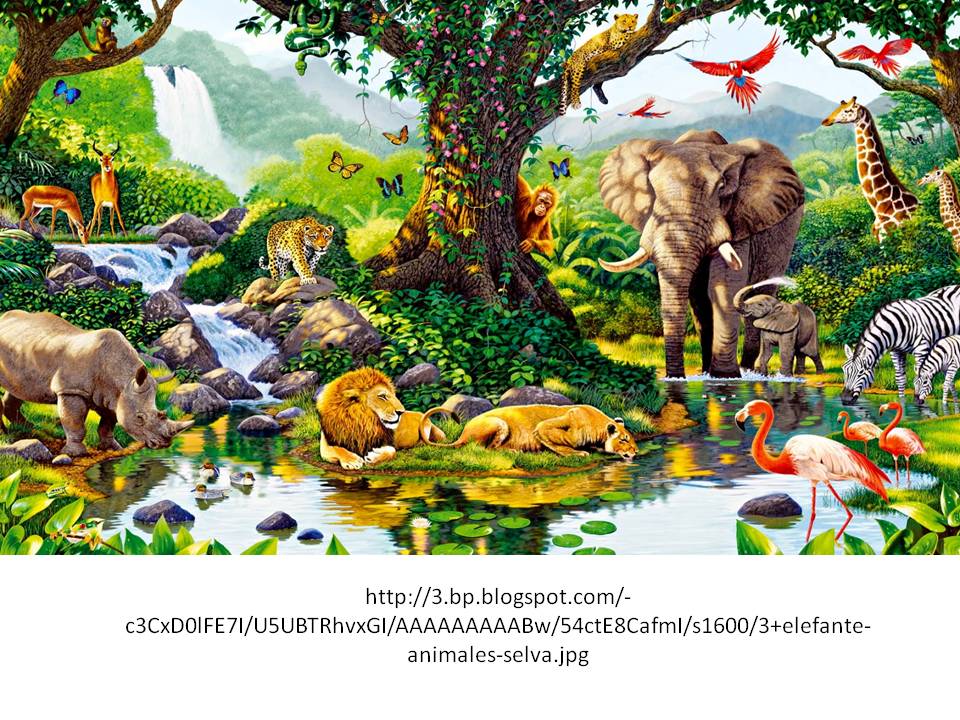 MI ENTORNO: UN ECOSISTEMA VIVIENTE: NIVELES DE ORGANIZACION