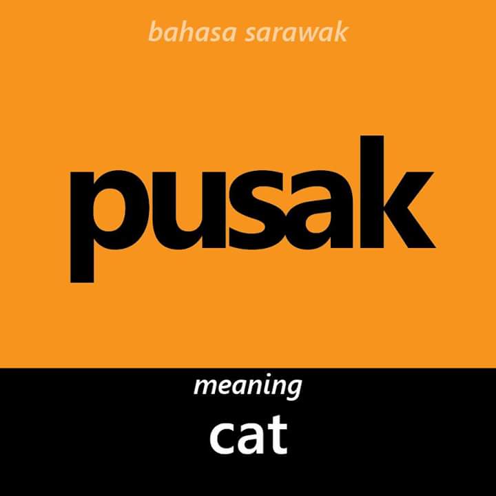 Beautiful Lie in a Beautiful Life: Pusak