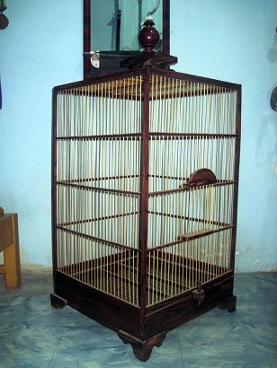 Tips pemilihan sangkar kenari | Kicau Burung Mania