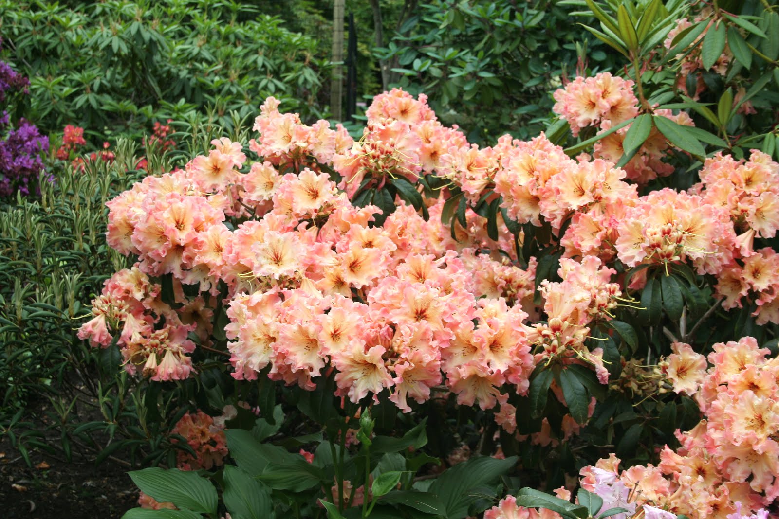 VANCOUVER ISLAND PARADISE