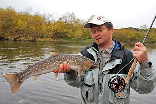 Big Fishes of the World: CHAR WHITE SPOTTED - KUNDZHA (Salvelinus ...