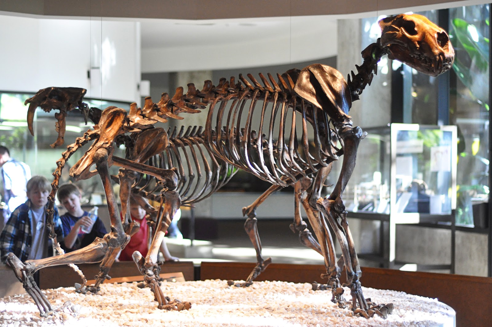 simplify: La Brea Tar Pits