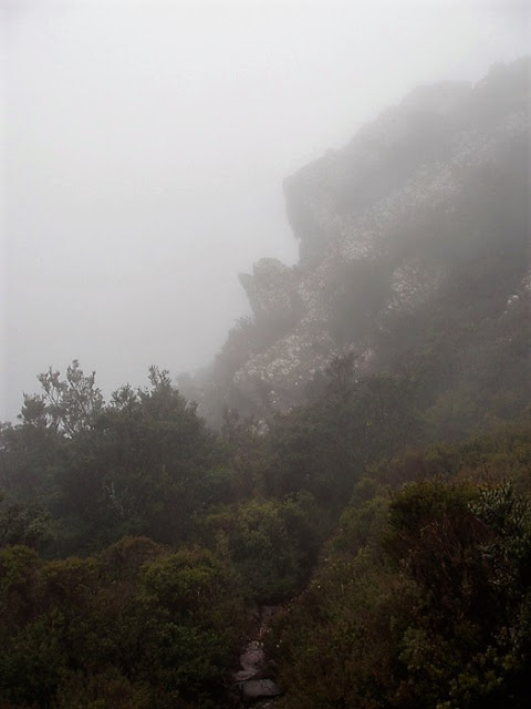 Goin' Feral One Day At A Time: Claude Road to Mount Roland, Mount ...