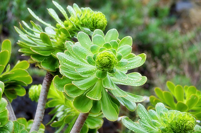 APRENDER A PROGRAMAR CON PYTHON: mayo 2019