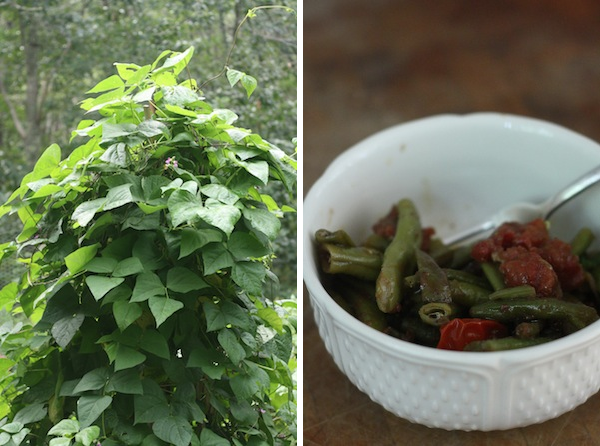 Diary of a Locavore: ISRAELI STRING BEANS // elspeth