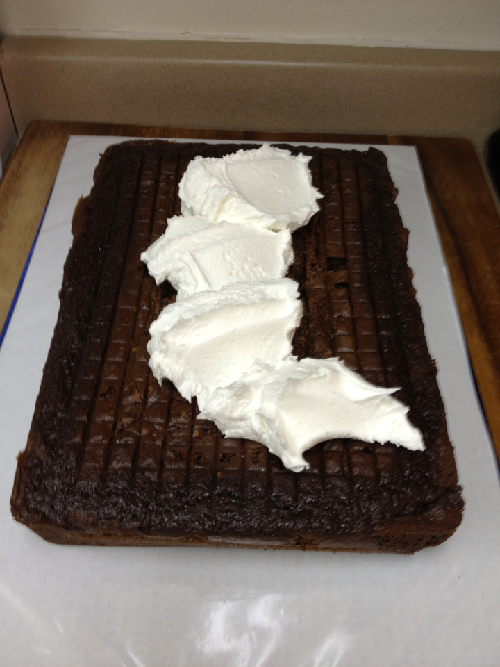 Pitcher Family Adventures: Cake Decorating!