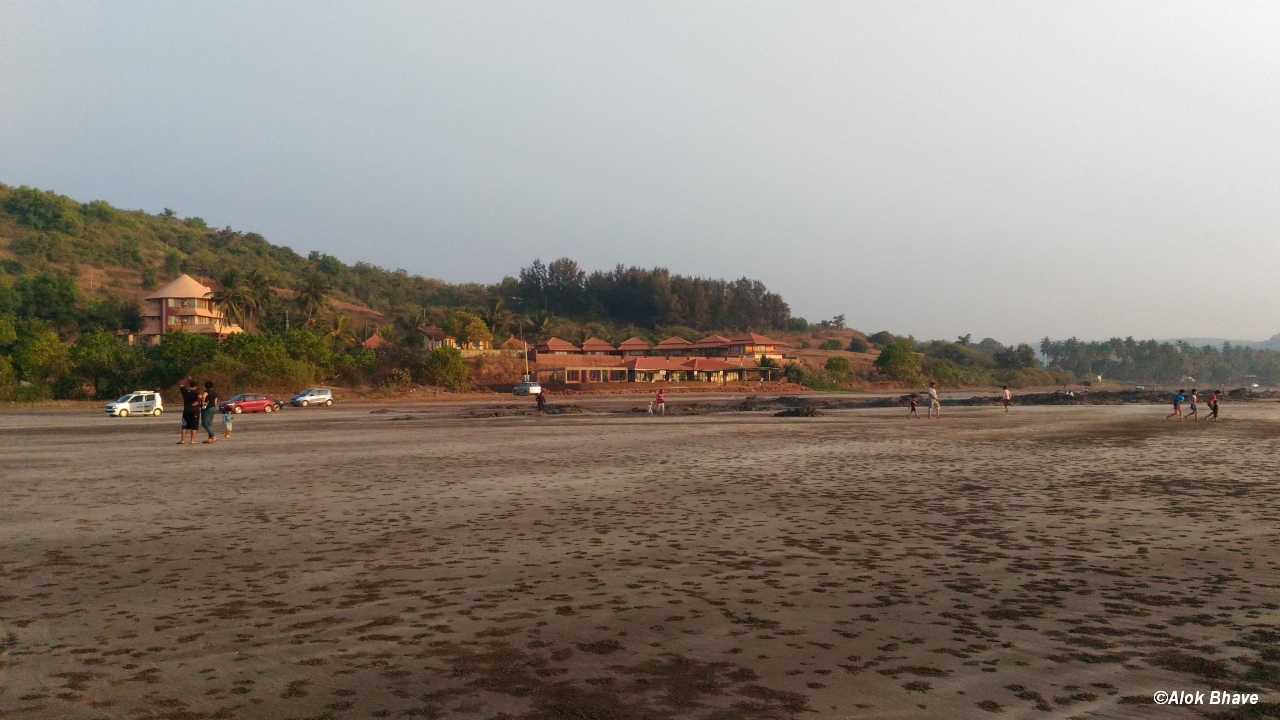 Nature watch: 2016-01-24-26-Kokan Trip