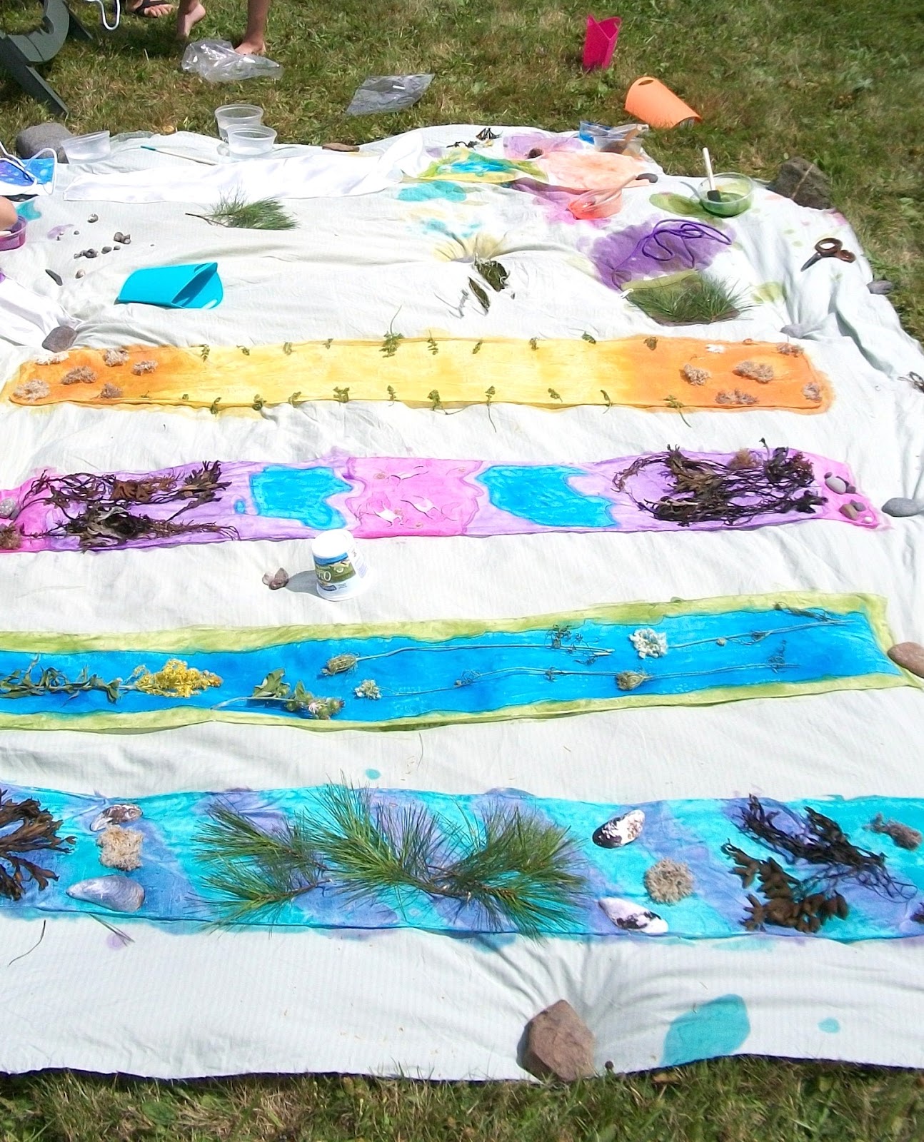 Julie B Booth: Sun Printing in Maine