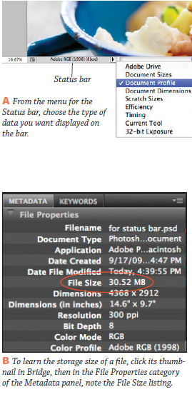 lessons photoshop cs5: Using the Status bar