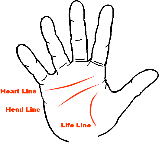 How to Read Palm Lines?? - Hashmi Sahib