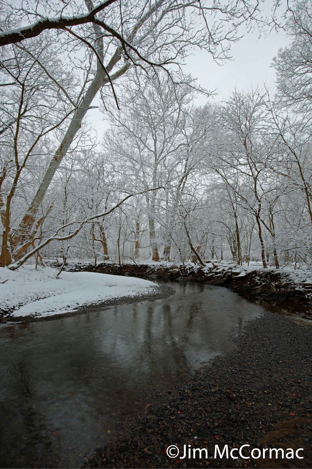 Ohio Birds and Biodiversity: A stunning snowscape