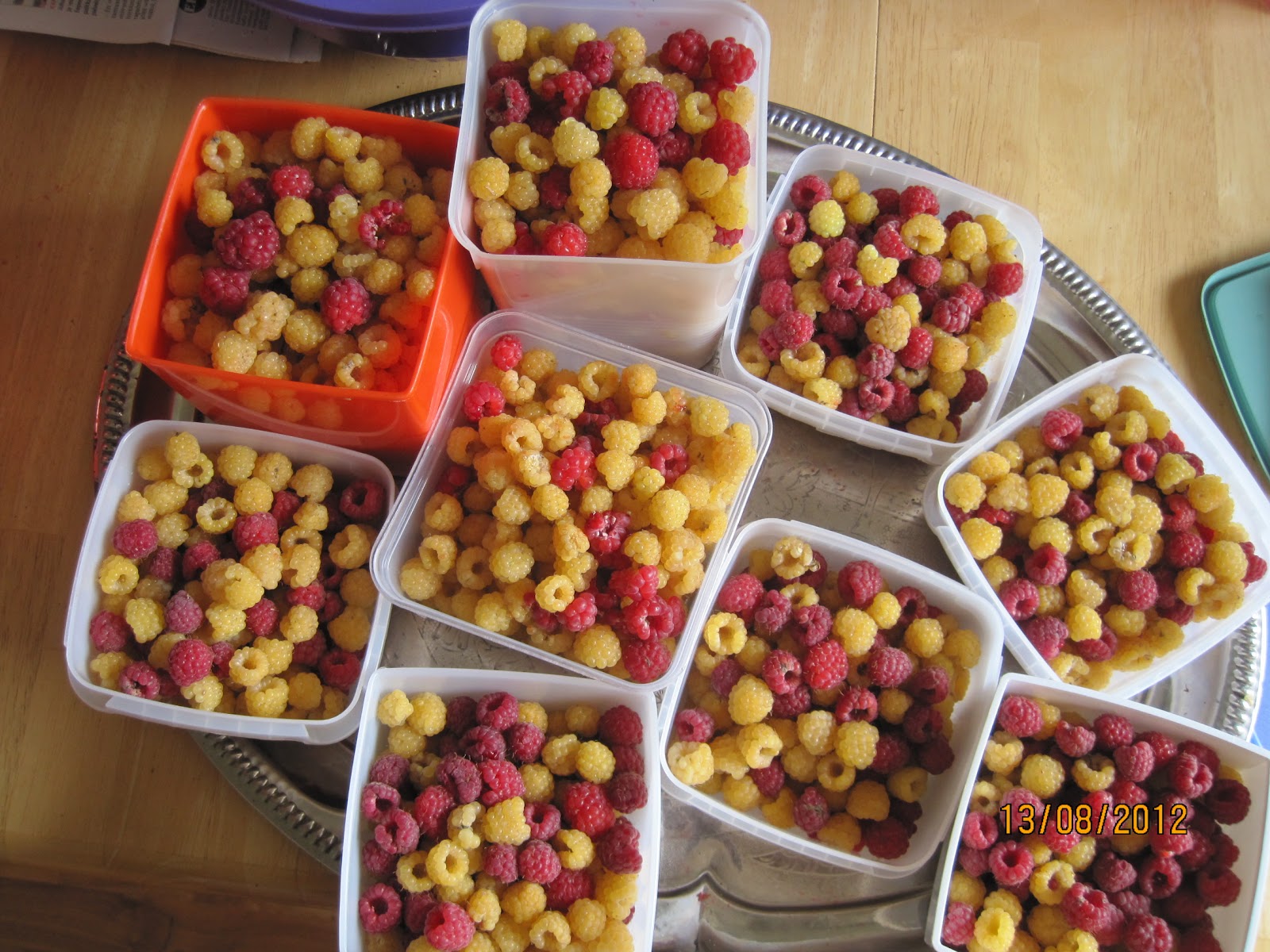 TUIJAN ARKIELÄMÄÄ !!: VADELMASATOA