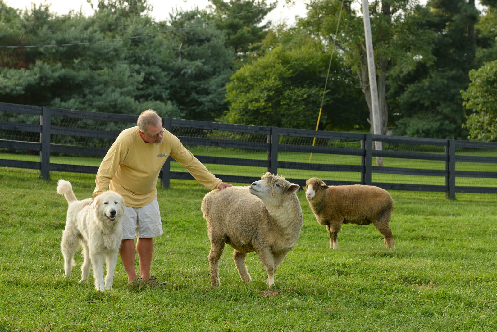 Punkin's Patch: Where Are They Now - Keebler And Hank