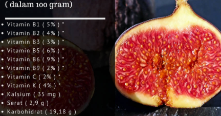 Manfaat Buah Tin Untuk Kesehatan - karya mahasiswa nurse
