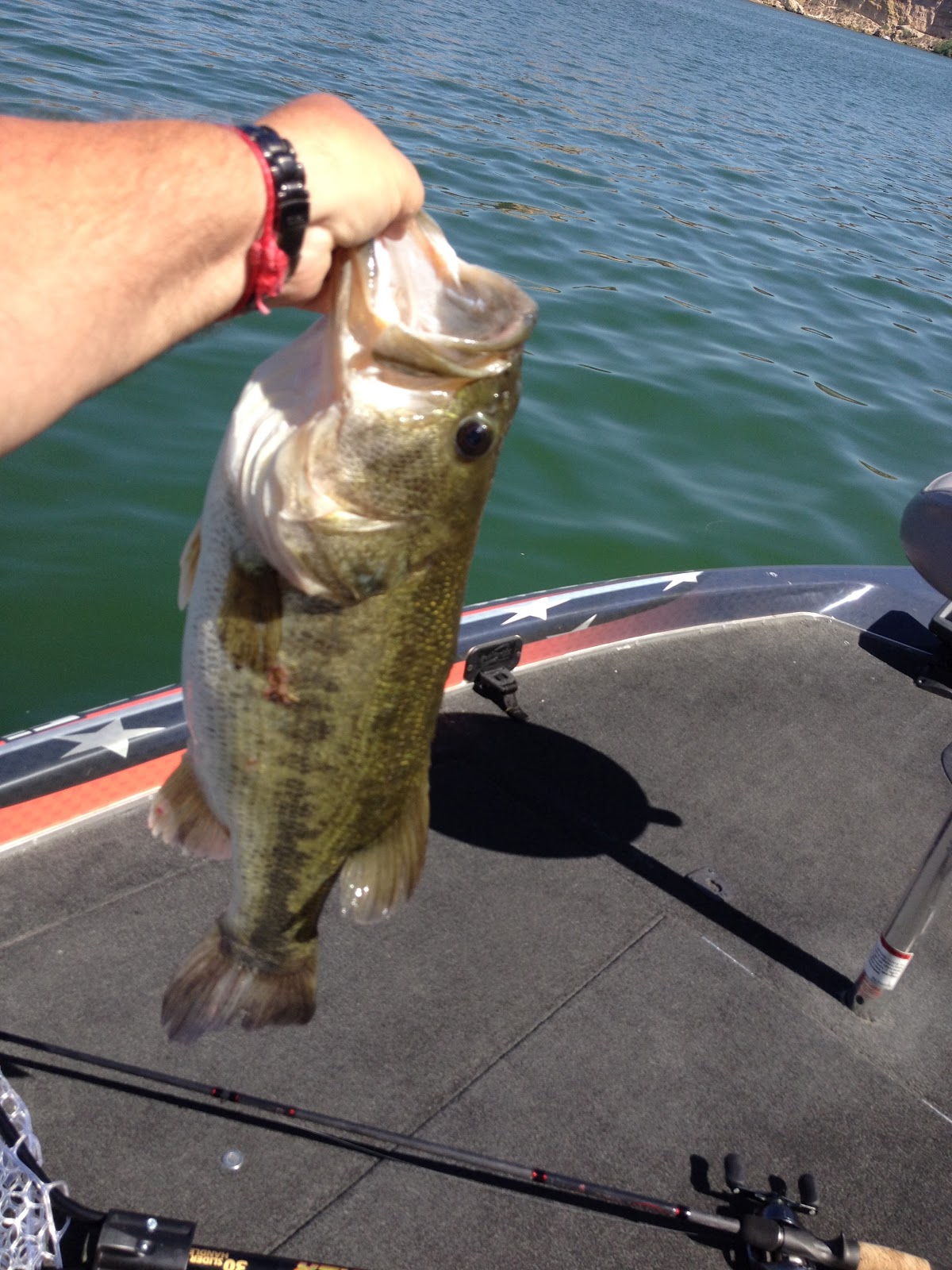 URBAN FISHING HQ: Fish Aren't Biting?: How To Turn A Bad Day Fishing ...