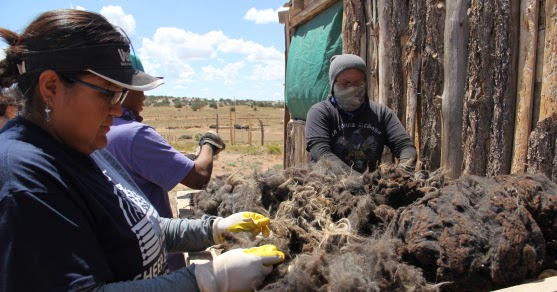 CENSORED NEWS: Annual Wool and Mohair Buy on Navajo Nation -- Fairer ...