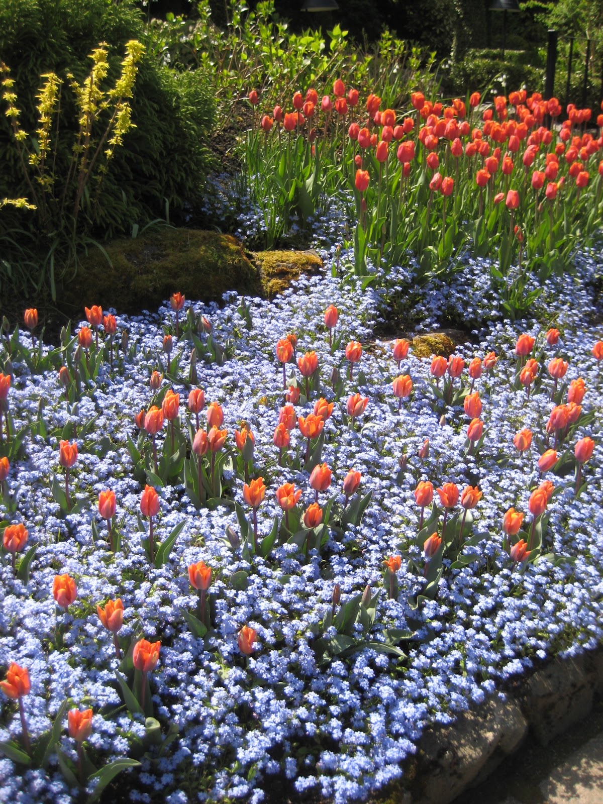 Victorian1885: Butchart Gardens April 2013