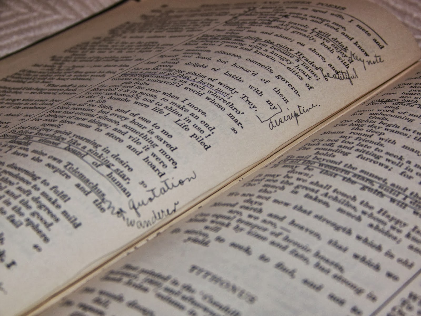 A Burst of Many Colors : A book addiction...?