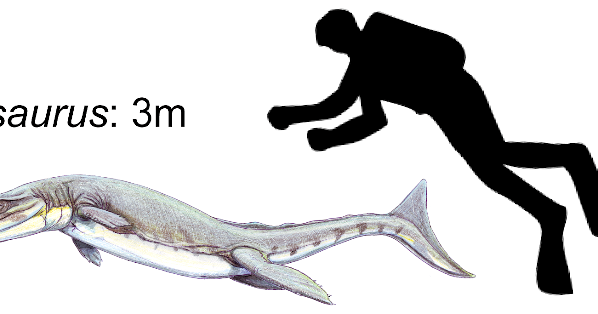 Variety of Life: Thalattosuchia