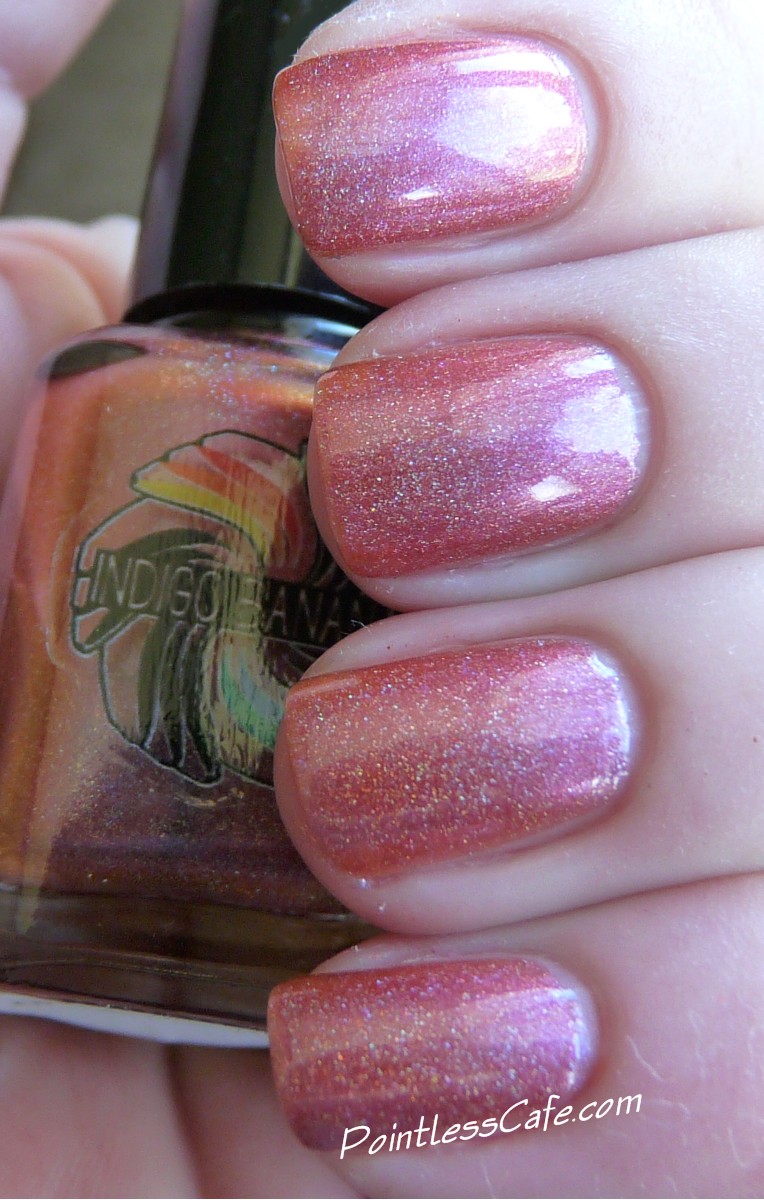 Indigo Bananas - Dream a Little Dream and Maui Wowee | Pointless Cafe