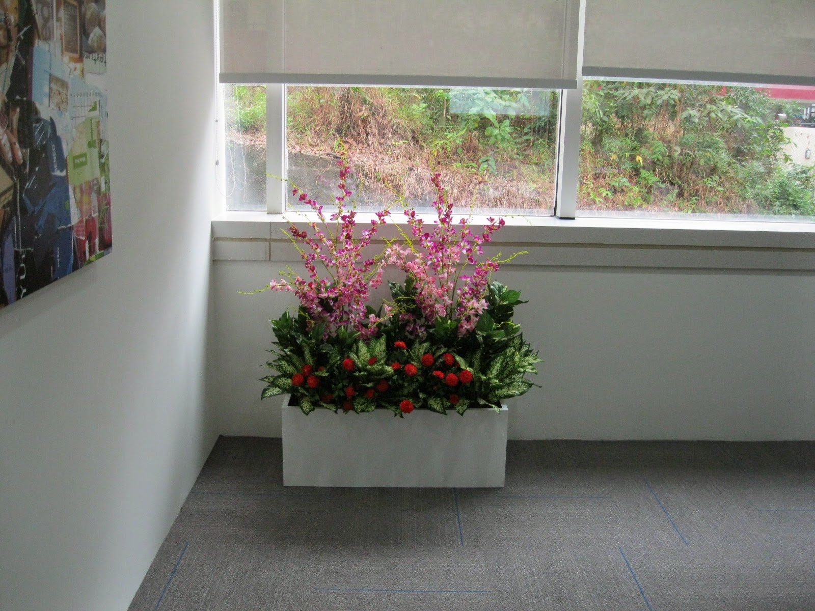 Hoi Kee Flower Shop: Orchid in white planter box