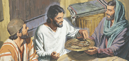 Vegan Saint of Jesus Christ Ⓥ: Vegan Topics