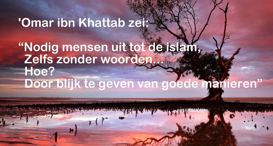 Citaten en Wijze Woorden uit de Islam: augustus 2013