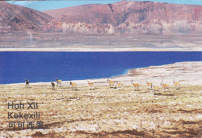 My UNESCO World Heritage Postcards: China - Qinghai Hoh Xil