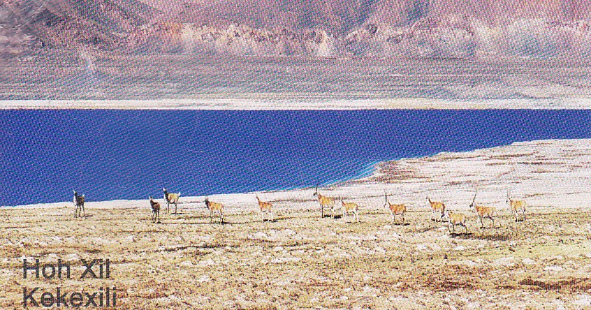 My UNESCO World Heritage Postcards: China - Qinghai Hoh Xil