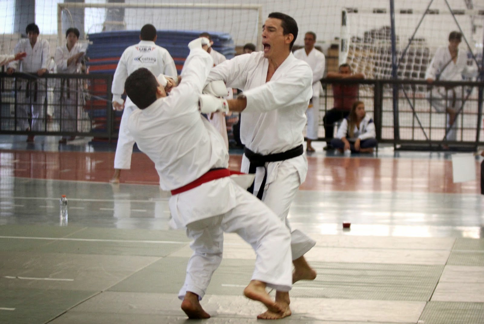 Go-no-sen e Sen-no-sen, no dojo, e fora dele. - Karate Paramoti - Seu ...