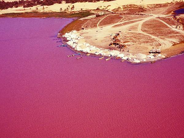 wOndor.blogspot.com: Amazing Lake Retba - The Pink Lake (10 pics)