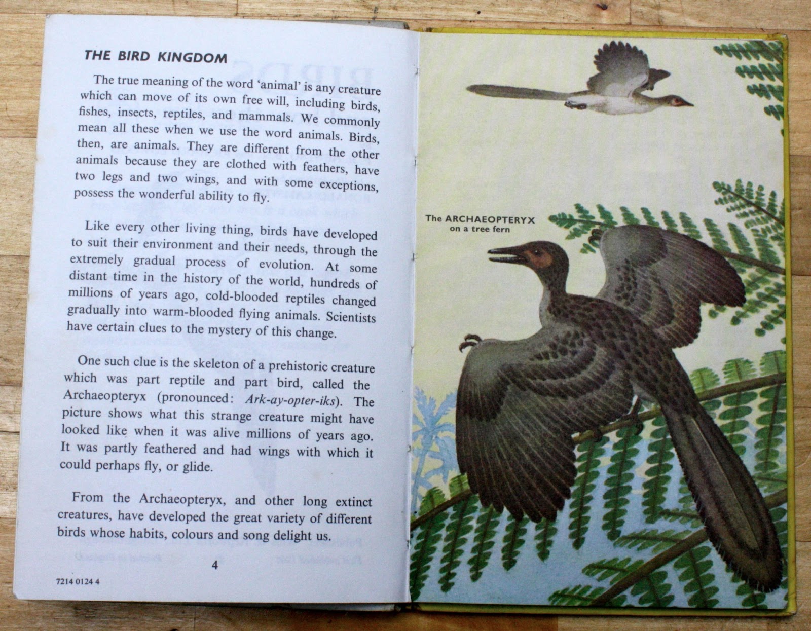 Ladybird Tuesday - Birds & How They Live - Mrs Fox's sustainable life ...