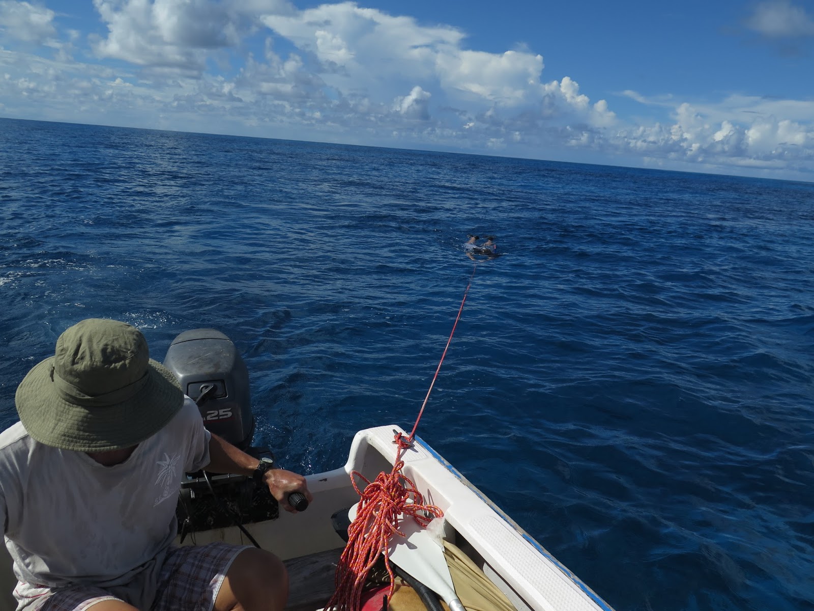 The Green Islands Foundation - Seychelles: Marine monitoring program ...