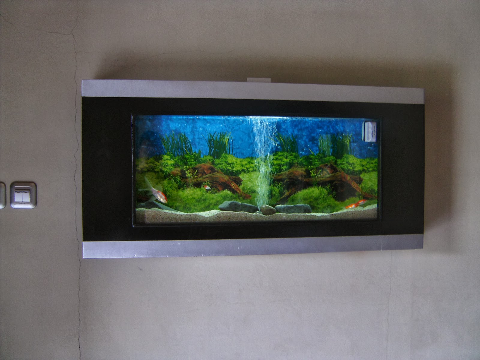 Aquarium solo: Aquarium Dinding