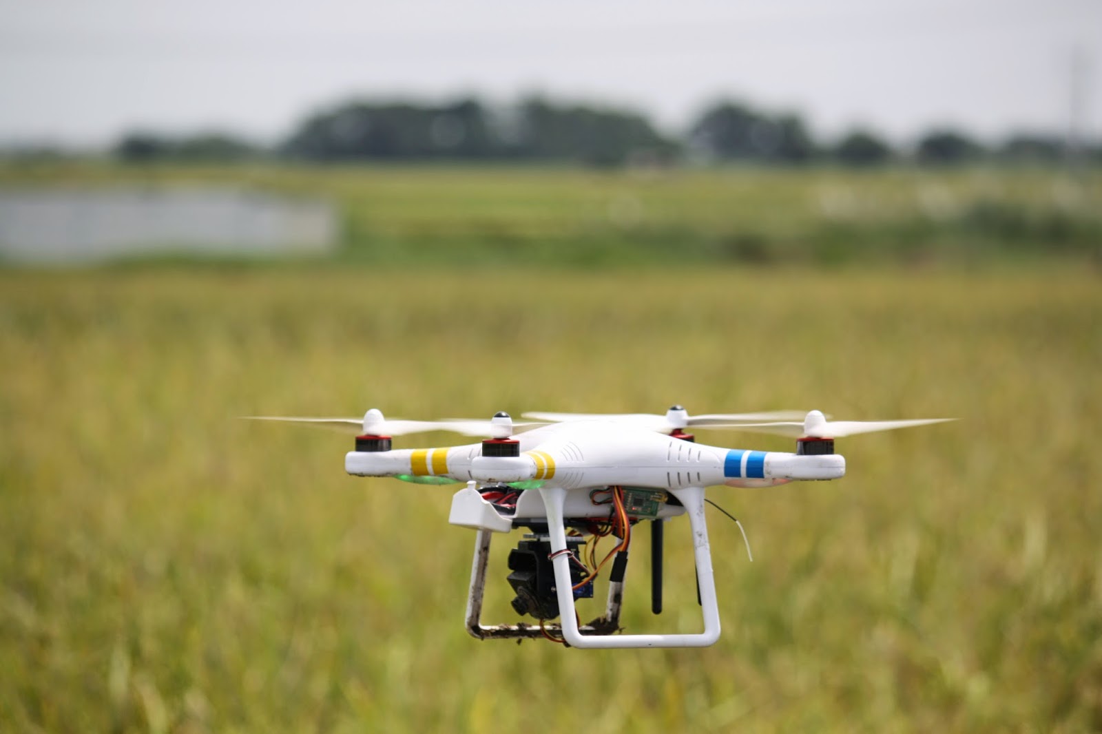 FutureRice: promoting integrated solutions for future farming scenarios ...