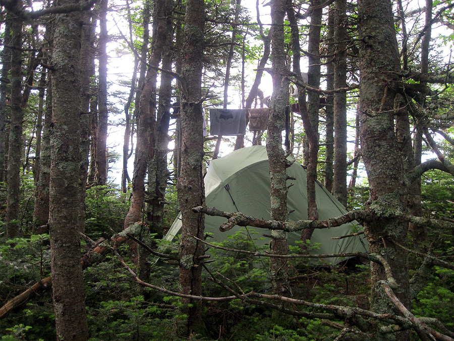 Hiking in the White Mountains: Pemi Loop: Half Run / Half Hike