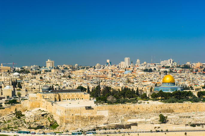 The Silicon Graybeard: The Palestinians are Revolting - So What Else is ...