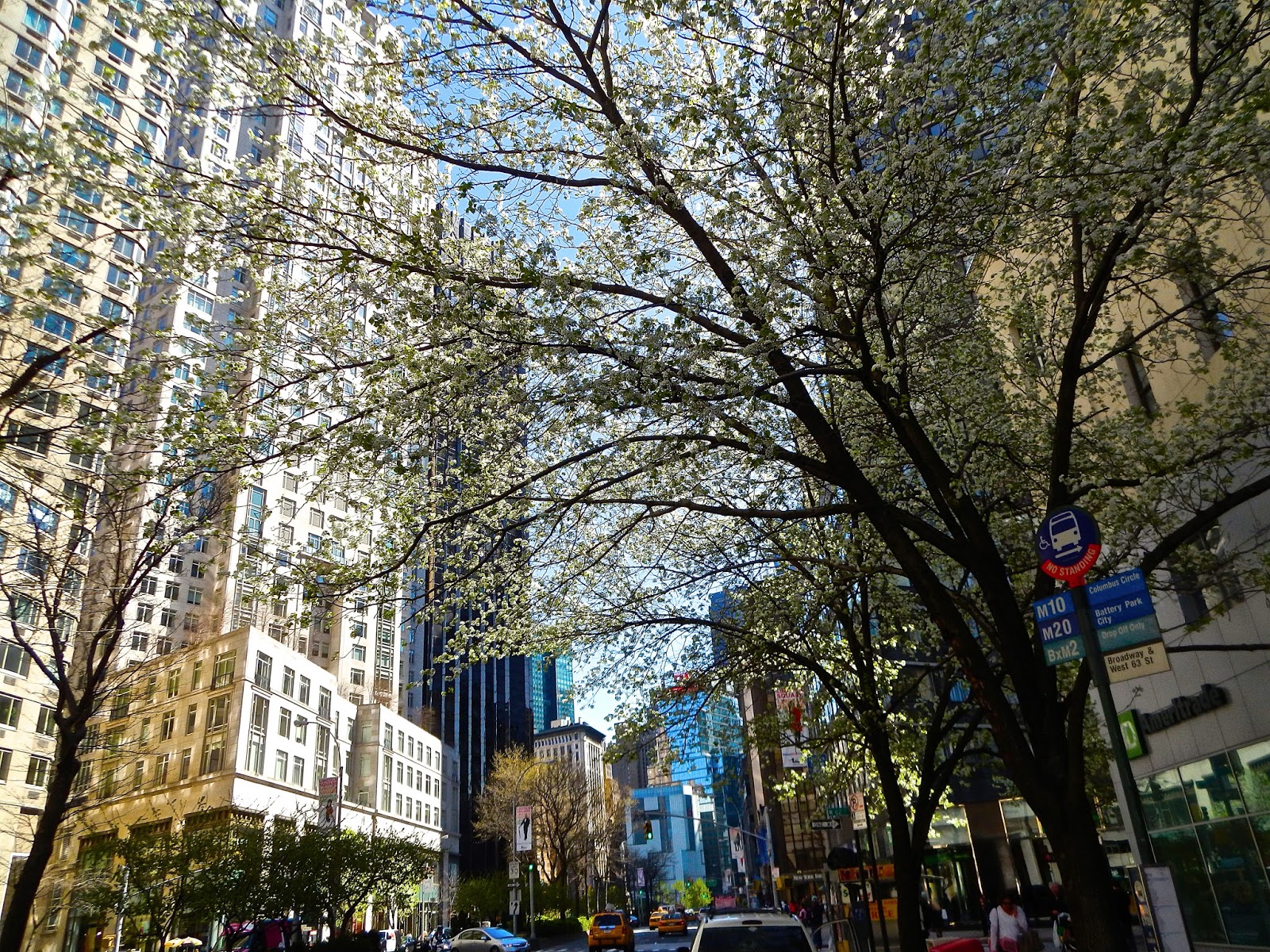DriveByCuriosity: New York City: Manhattan In Spring