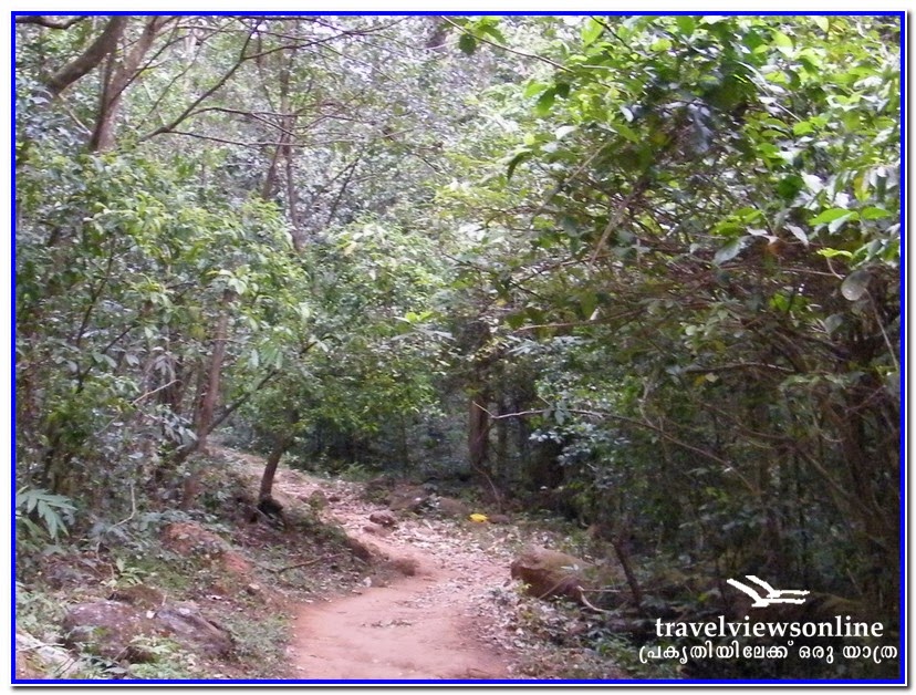 പ്രകൃതിയിലേക്ക് ഒരു യാത്ര (a travel towards NATURE): PULLUMEDU a unique ...