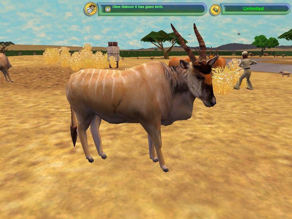 Cryptodraco: Countries of the World: The Remake