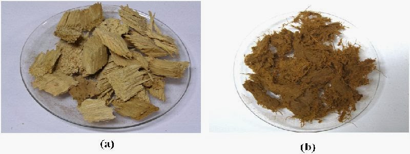 Emerald Biology: Fuels for Biofuels part 4: lignocelluose as a biofuel ...