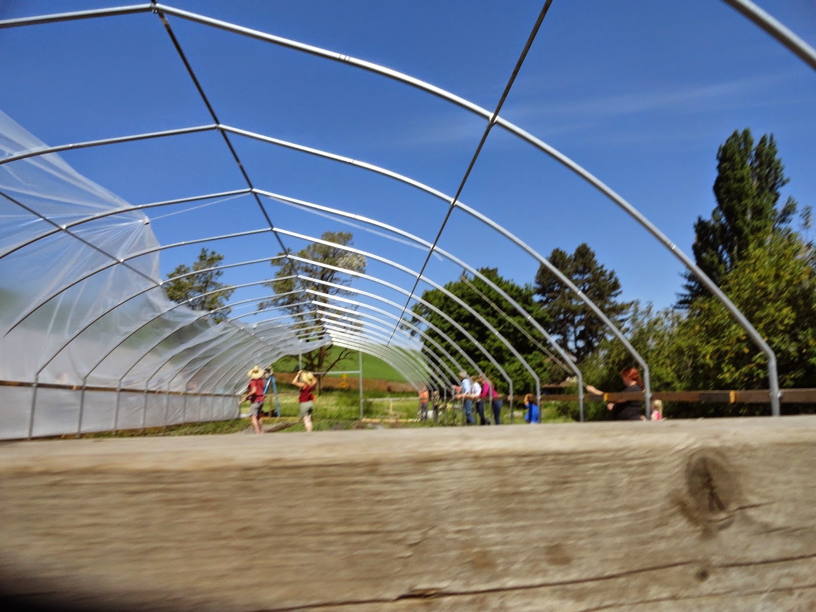 Omache Farm: 2014