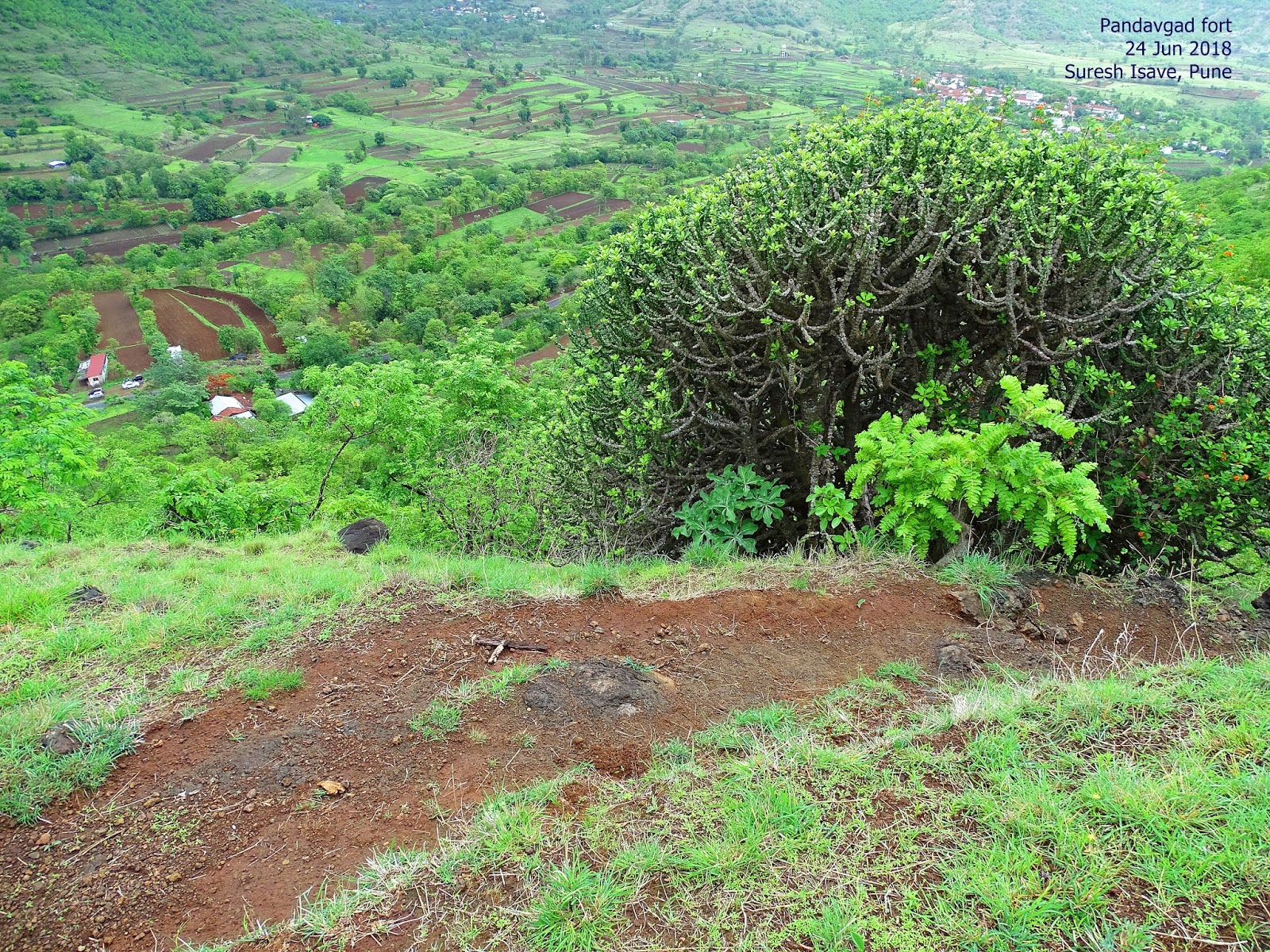 Treks in Sahyadri: Pandavgad Fort Trek