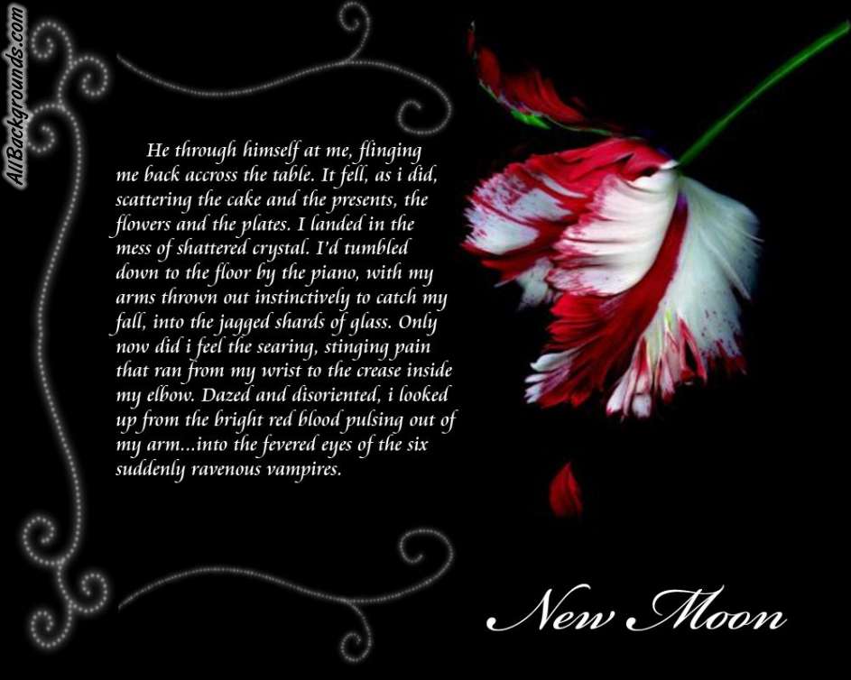 I Am Sorry I Am Sorry Poems I Am Sorry Wallpapers I Am Sorry Pictures I i-am-sorry-i-am-sorry-poems-i-am-sorry-wallpapers-i-am-sorry-pictures-i